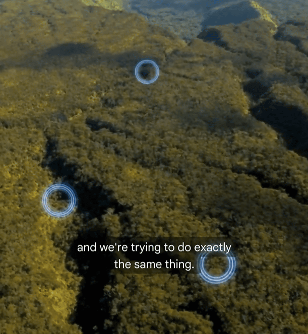 Google releases enhanced version of AI 'Perch' that can estimate 'the type and number of living ...